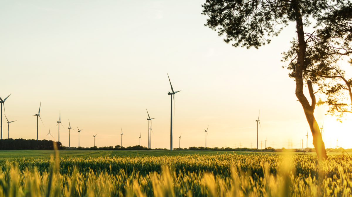 Wind Energy Trading WET AG - BKW Wind Energy Trading WET AG - BKW